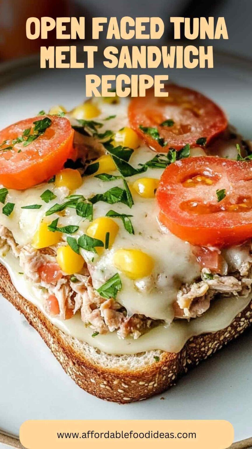 Open Faced Tuna Melt Sandwich Recipe - Affordable Food Ideas